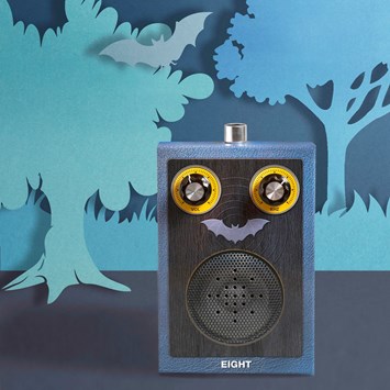 Build Your Own Bat Detector Kit | The Present Finder