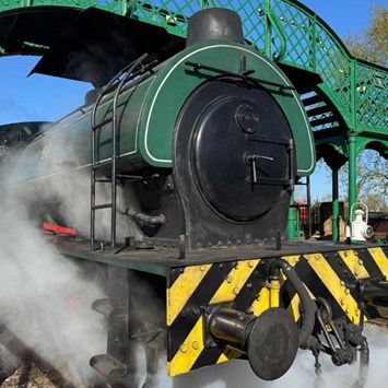 Epping Ongar Heritage Steam Train Trip with Fish & Chips for Two